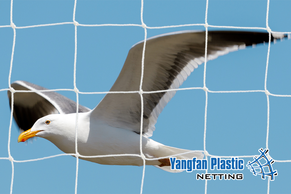 Pheasant Netting_Knotted 40mm_White * Yangfan Plastic Netting Co., Ltd ...